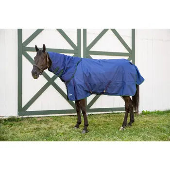 Shires Highlander Plus Medium Weight (200g) Blanket – Classic Saddlery
