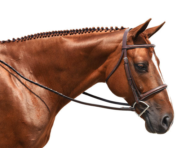 M. Toulouse Working Hunter Bridle – Classic Saddlery