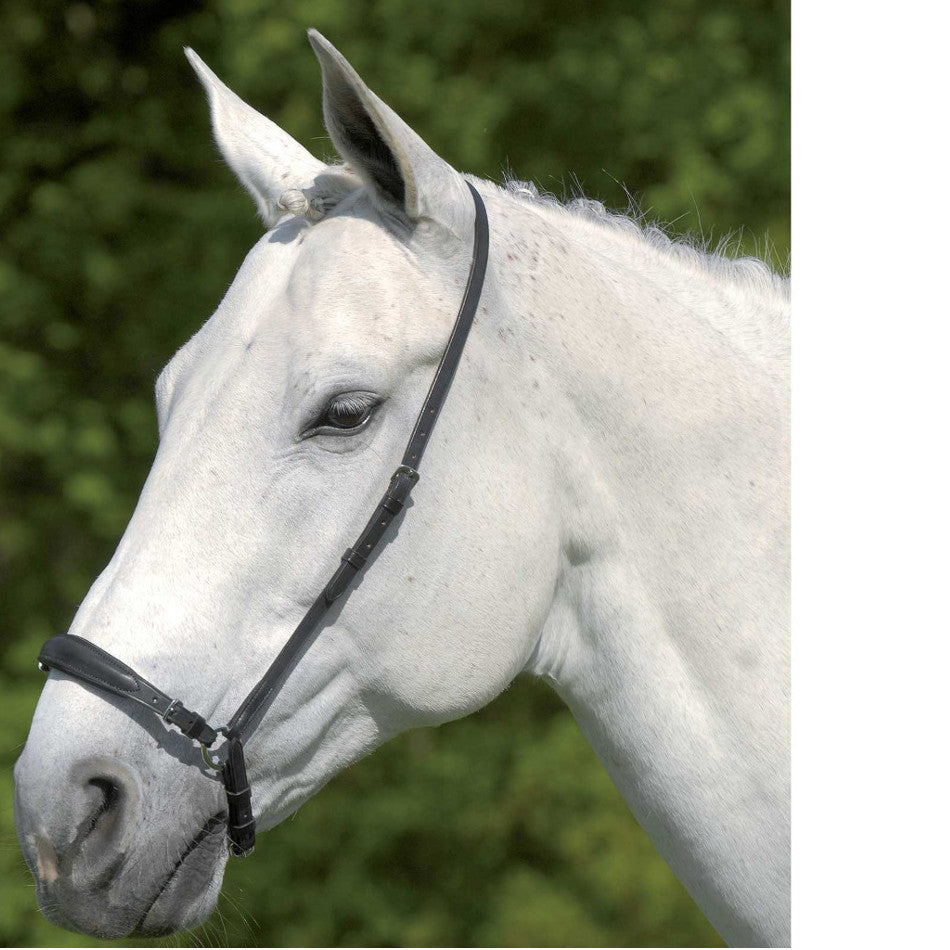 Adjustable Drop Nose Caveson – Classic Saddlery