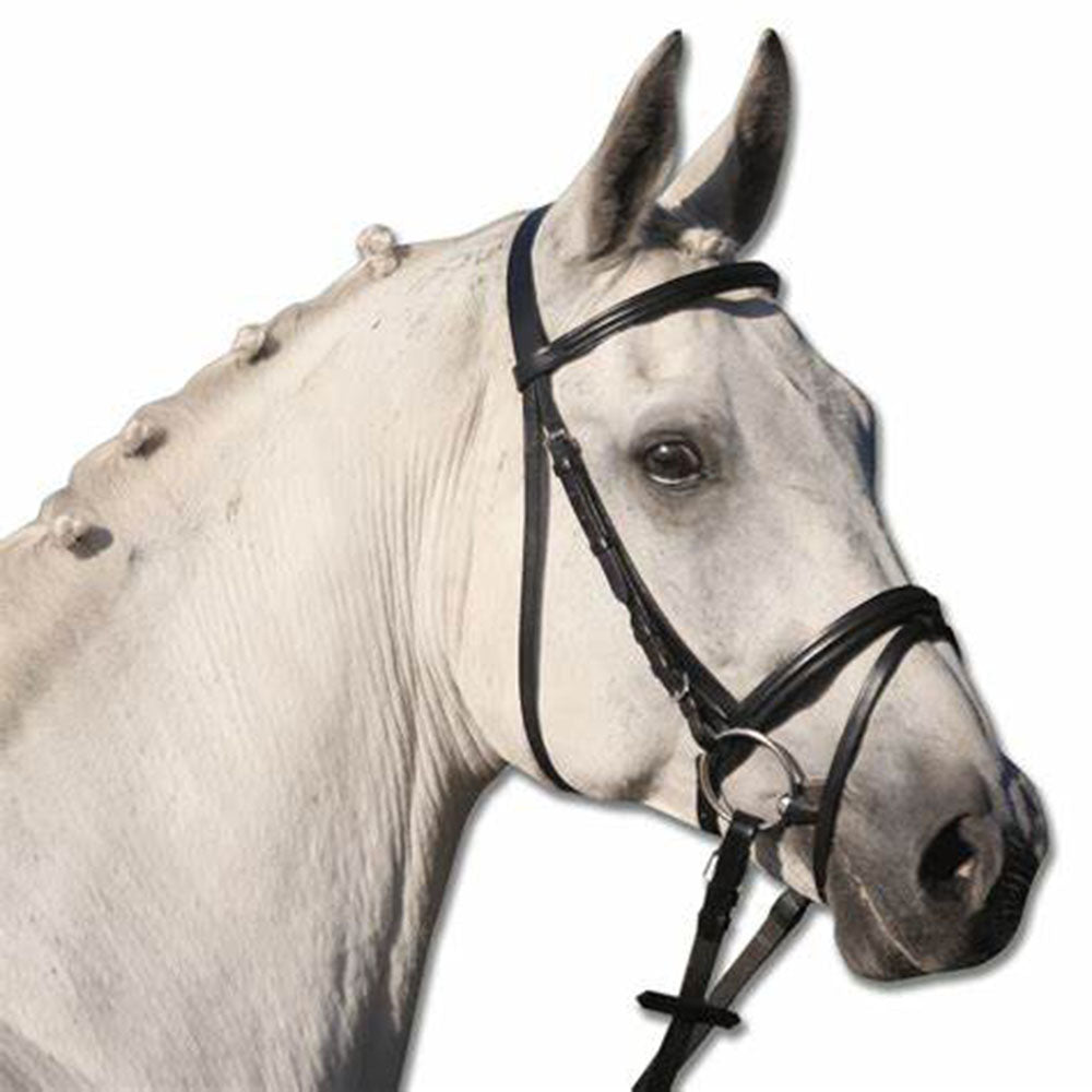 Waldhausen Star Basic Bridle-CLEARANCE – Classic Saddlery